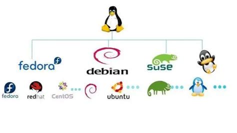 解释什么是linux中的软链接 也称为符号链接 和硬链接 并说明它们之间的主要区别 题海