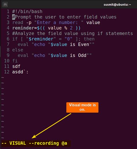 How To Select All Text In Vim 5 Cases Linuxsimply