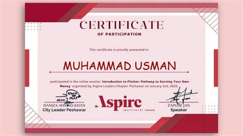 muhammad usman on linkedin flutter professionalgrowth aspireleaders