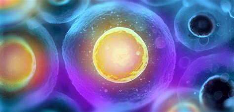 Unmöglicher Atomkern Forscher Brechen Regeln Der Atomphysik Futurezone