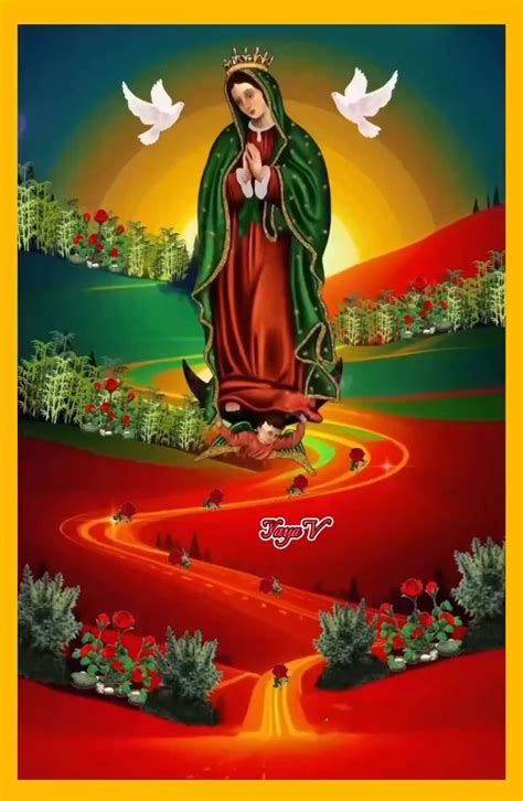 Virgen De Guadalupe Video Fotos De Santos Catolicos Imagenes De