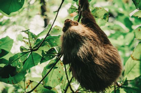 How To Add A Vignette In Photoshop Step By Step Guide