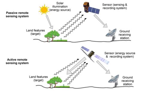 1 Physical Principles Platformsensor Technology Flashcards Quizlet