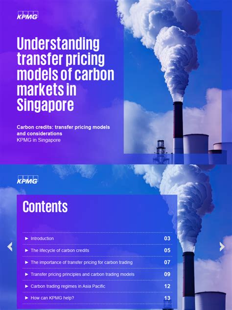 Understanding Transfer Pricing Models Of Carbon Markets In Singapore Pdf Derivative Finance