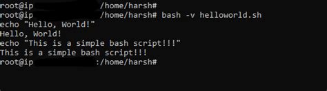How To Check The Syntax Of A Bash Script Without Running It