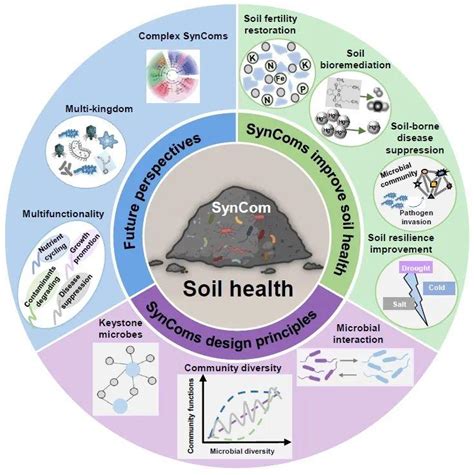 Imeta 李梅 韦中等揭示合成微生物群落在提升土壤健康研究中的应用进展 知乎
