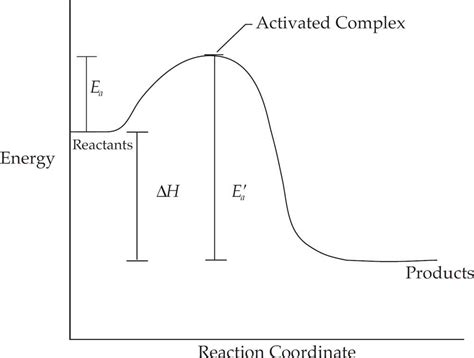The Step By Step Guide To Understanding The Diagram Of An Exothermic Reaction