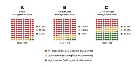 Urolithin A Human Optimization
