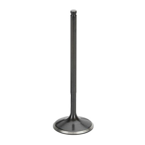Supertech Vw 20 Lts Tfsi 16v Intake Valve Ssblknitrided Nz