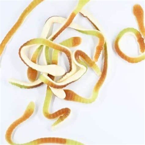 Python • Sweet Factory Uae