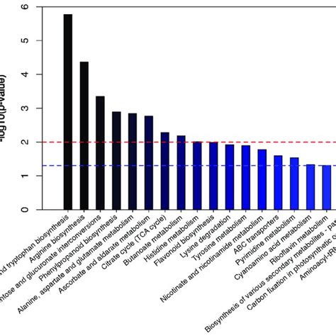 Enrichment Of Metabolic Pathway Were Analysed By Conbination With Gc Ms