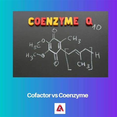 Cofactor Vs Coenzyme Sự Khác Biệt Và So Sánh