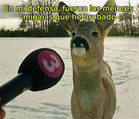 Top Memes De Migajas En Español Memedroid