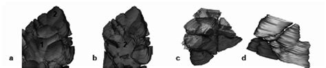 3d Microstructure Of The Sample Quenched At 631 °c Showing A Two