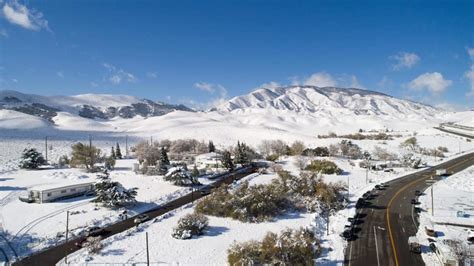 Danielle Kernkamp Pio