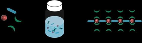 2 Schematic Illustration Of A One Pot Synthesis Reaction For The Download Scientific Diagram