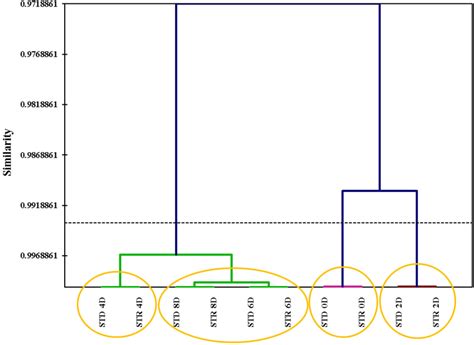Agglomerative Hierarchical Clustering Analysis During Different