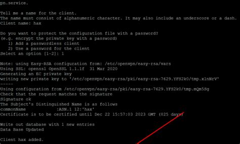 How To Install OpenVPN On IPv VPS IPv Server