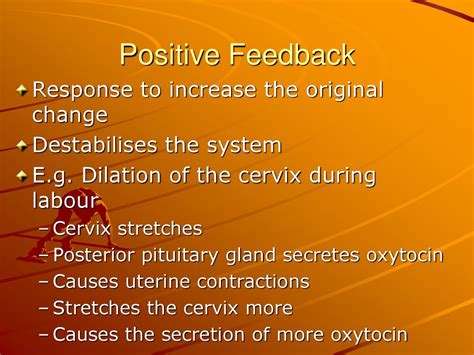 Communication And Homeostasis Ppt Download