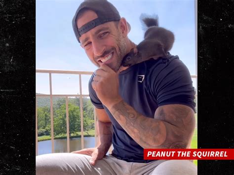 Peanut The Squirrels Owners Pursuing Legal Action Over Viral Controversy