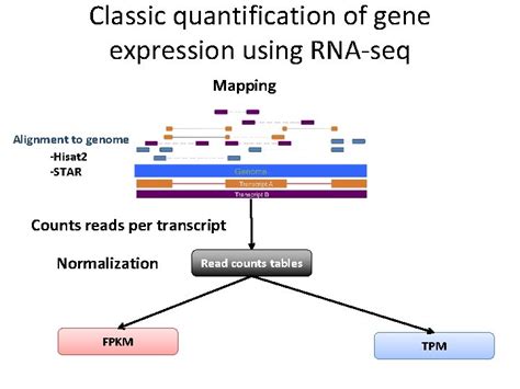 Quantitative Analyses Using RNAseq Data Classic Quantification Of