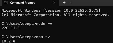 How To Set Up Nodejs On Windows And Mac Simplileap