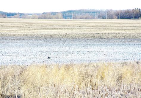 Use Soil Tests To Manage Salinity The Western Producer