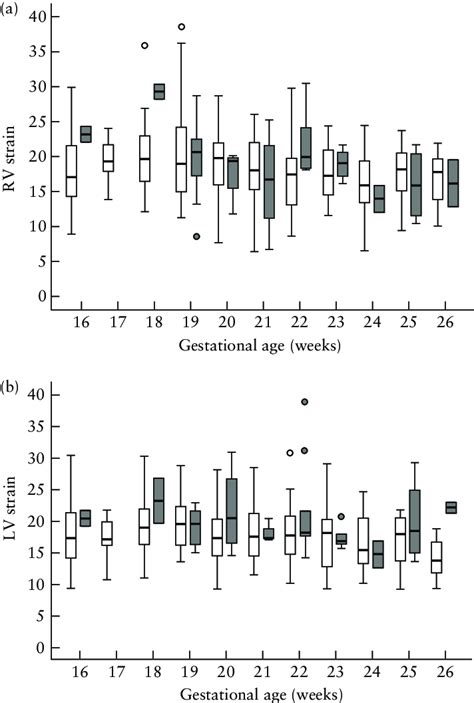 Right RV A And Left LV B Ventricular Strain According To Download Scientific Diagram