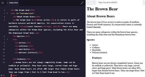 Does The Tag Always Have To Be Nested Within The Tag HTML FAQ Codecademy Forums
