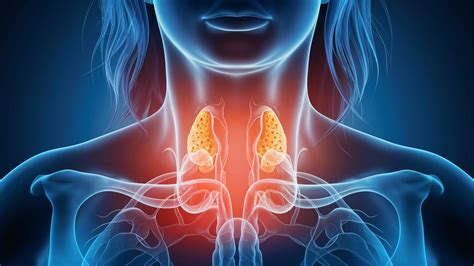 Hyperparathyroidism Understanding The Causes Symptoms And Treatment Options