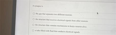 Solved A Synapse Isthe Gap That Separates Two Different Chegg