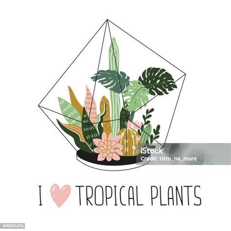 손으로 그려 야생 열 대 하우스 식물 스칸디나비아 스타일 그림 홈 장식입니다 벡터 인쇄 디자인 Terrarium와 레터링내가 사랑 하는 열 대 식물 개념에 대한 스톡 벡터