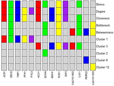 ppi network of degs a and 13 clusters analyzed using mcode in