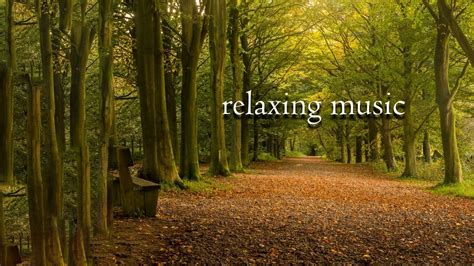 내 마음을 녹이는 뉴에이지 연주곡 🍁 마음이 편안해지는 힐링음악스트레스 해소음악명상음악수면유도 Youtube