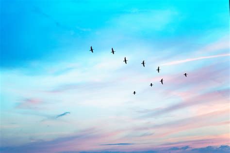 Migrate Tfs To Git Xebia