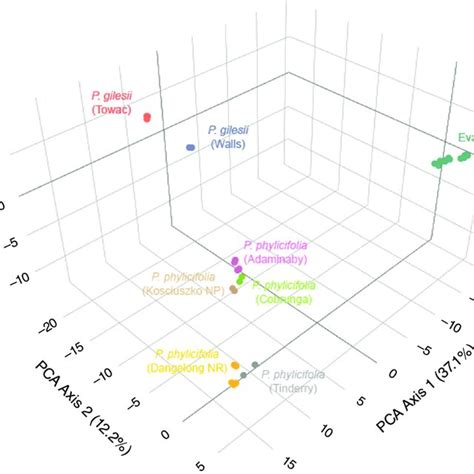 three dimensional 3 d plot of principalcomponent analysis pca of