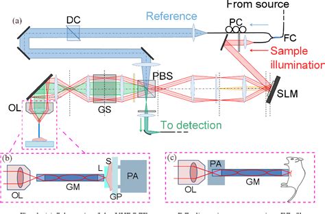 Figure 1 From Ultrahigh Resolution Optical Coherence Elastography Through A Micro Endoscope