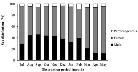 Sex Ratio Of Siphonosoma Australe Australe Download Scientific Diagram Sex Ratio Of Siphonosoma Australe Australe Download Scientific Diagram
