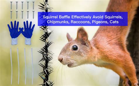 Squirrel Baffle Spikes Squirrel Deterrent Bird Spikes