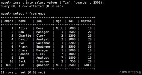 Mysql 视图 Csdn博客