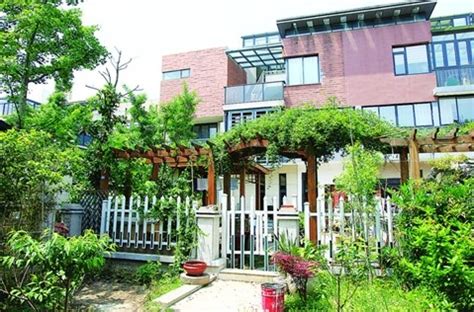院子里菜地的实景图片 农村院子里的菜片 院子图片实景 第4页 大山谷图库