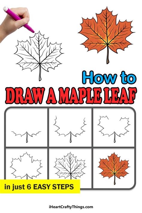 Maple Leaf Drawing How To Draw A Maple Leaf Step By Step