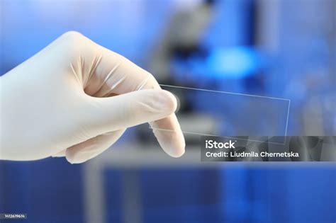 실험실에서 깨끗한 유리 현미경 슬라이드를 들고 과학자 근접 촬영 현미경 슬라이드에 대한 스톡 사진 및 기타 이미지 현미경 슬라이드 조직학 실험실 Istock