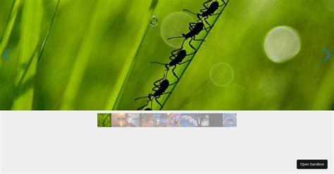 Vue Working With Swiper Codesandbox