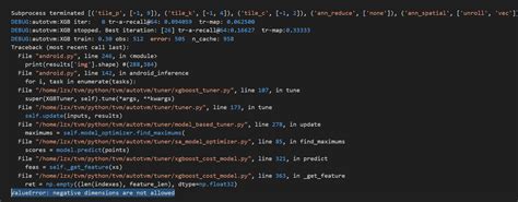 valueerror negative dimensions are not allowed apache tvm discuss