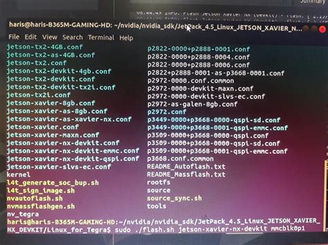 Bash Cannot Set Terminal Process Group 1 Jetson Agx Xavier Nvidia Developer Forums