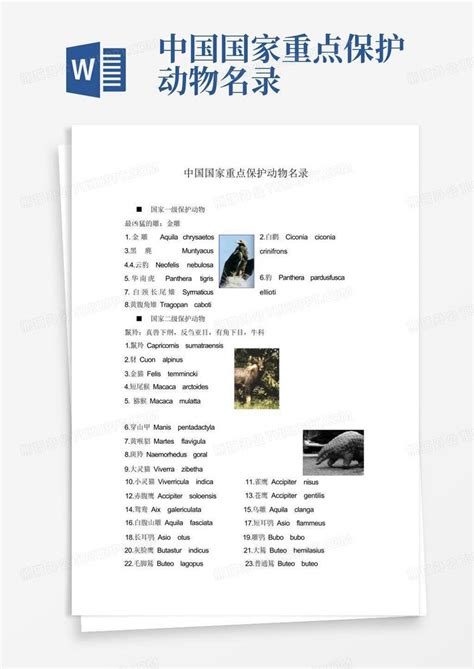 中国国家重点保护动物名录Word模板下载 编号lzmprvvr 熊猫办公