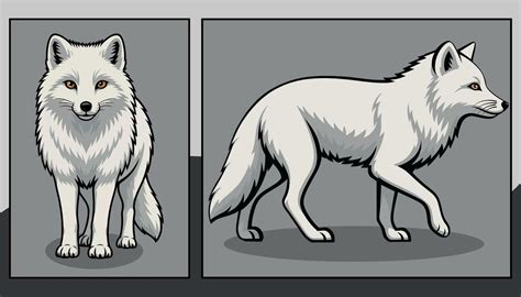 Fox Side Face Drawing