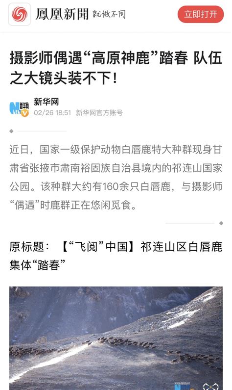 【外眼看肃南】国家一级保护动物白唇鹿特大种群再现祁连山国家公园在各大媒体播出澎湃号·政务澎湃新闻 The Paper