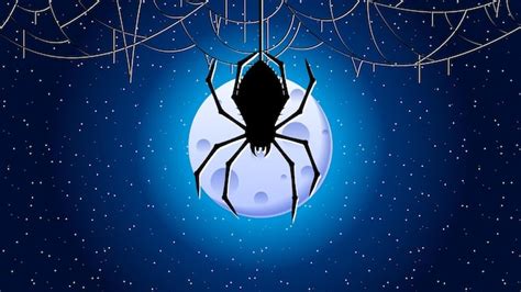Intriguing Spider Sightings Vectors And Illustrations For Free Download